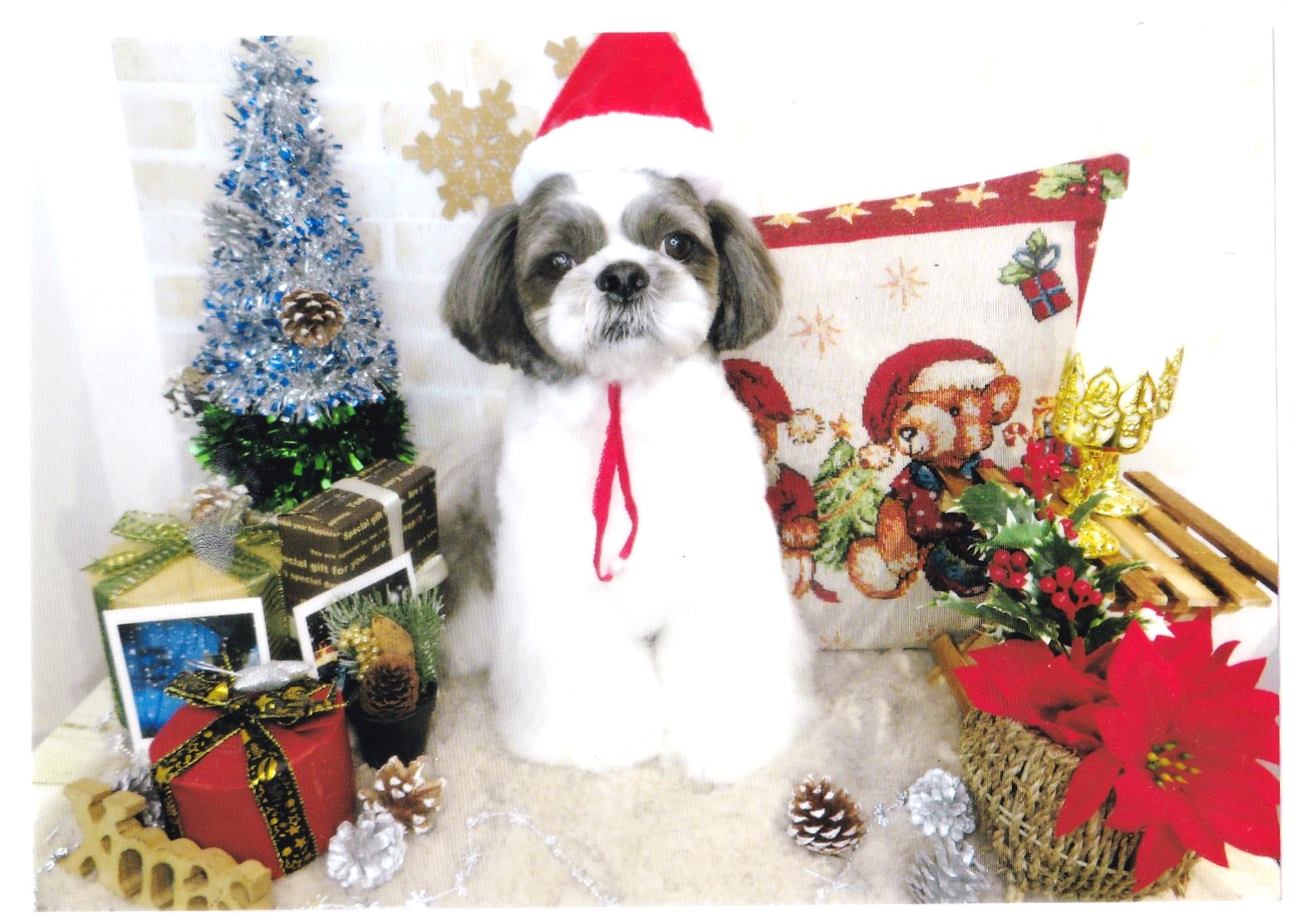 2024/12 studio Loop | studio-Loop